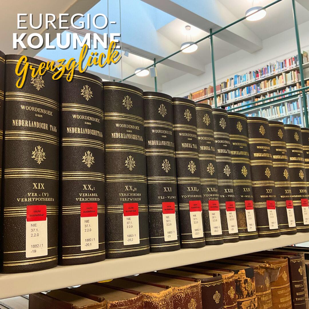 Iedereen spreekt zijn eigen taal? – EUREGIO-column "Grensgeluk" - EUREGIO